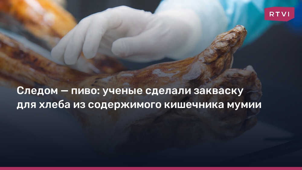 Следом — пиво: ученые сделали закваску для хлеба из содержимого ...